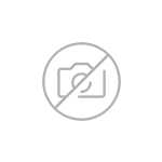 MemoParts | Diesel Engines & Components