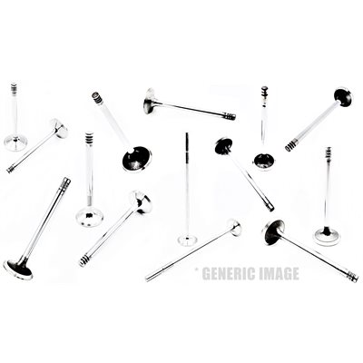 Intake Valve [30°] FPT Iveco NEF 4.5 [Tier 2]