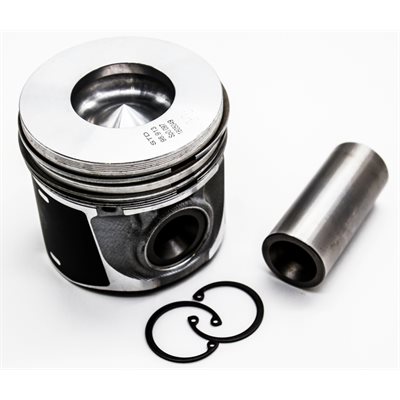 Piston [STD] FPT Iveco F32 / F5CE [99.0 mm]